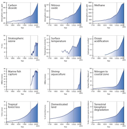 History and Epistemology of Anthropocene Sciences